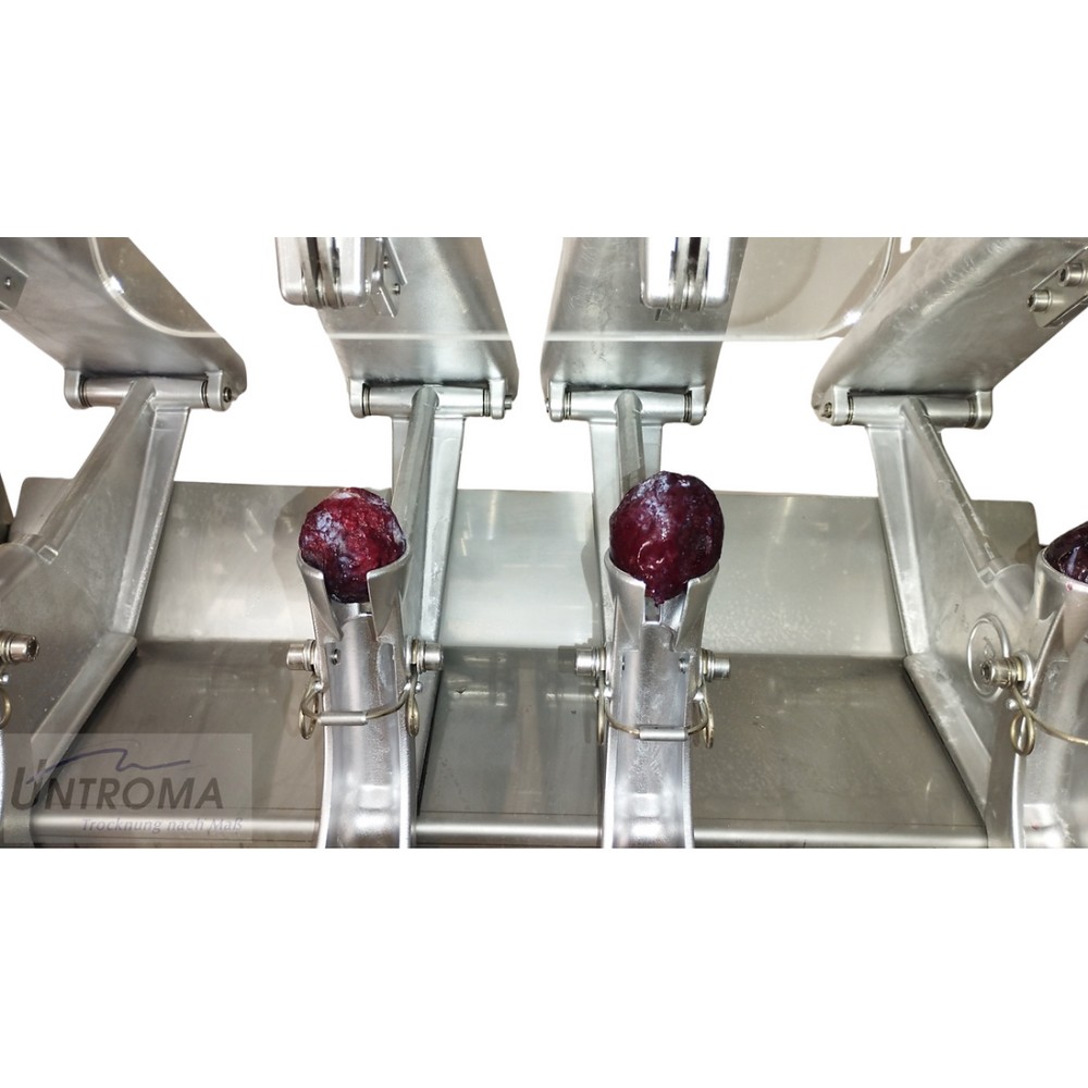 Electric pitting machine for plums, apricots - Pitter / Destoner E2000